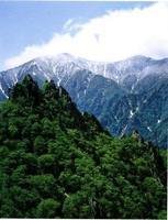 白神山地_360百科