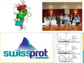 SwissProt_360百科