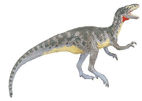 虚骨龙图册_360百科