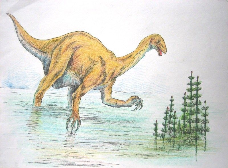 尹氏芦沟龙图册_360百科