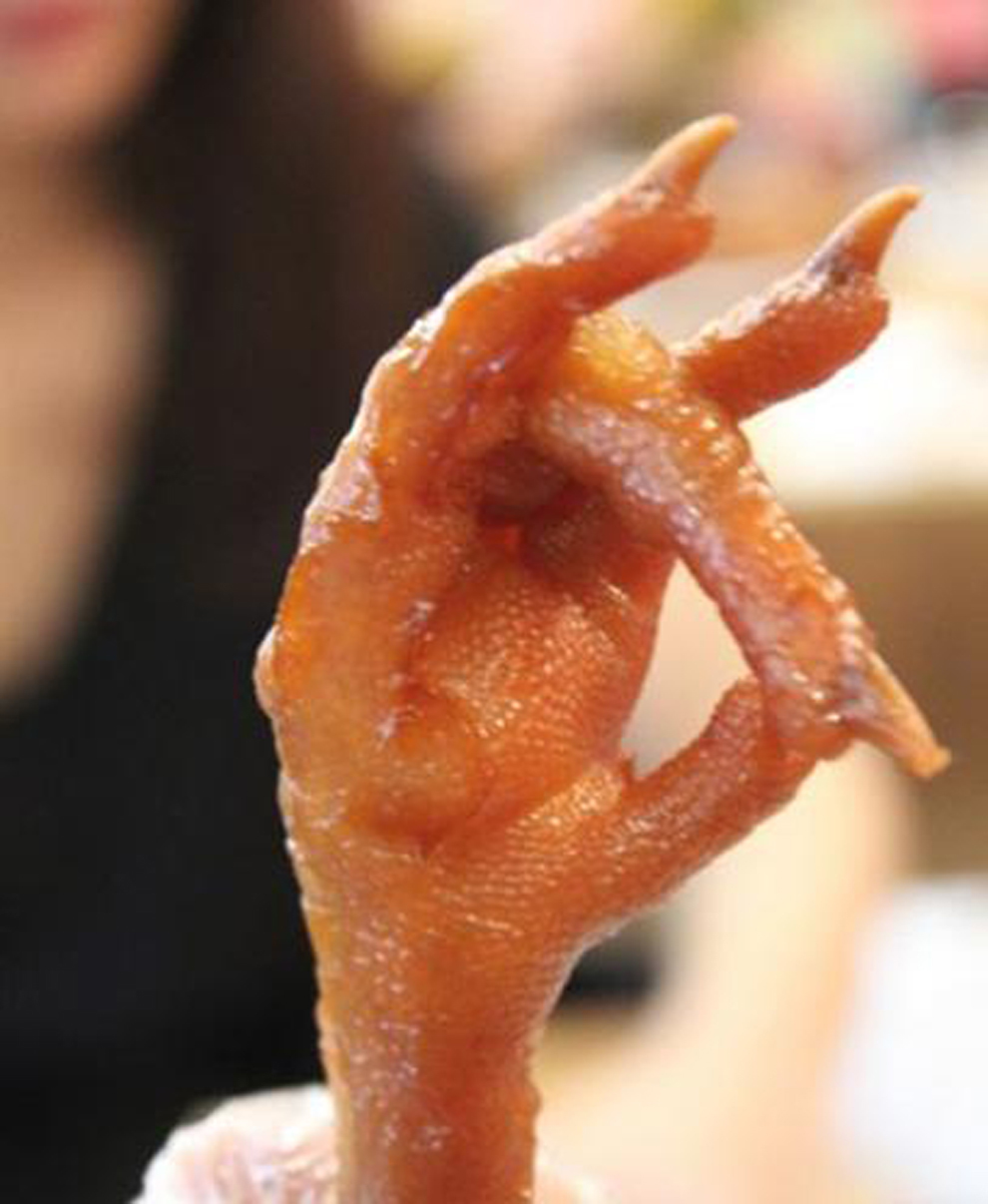 鸡爪图册_360百科