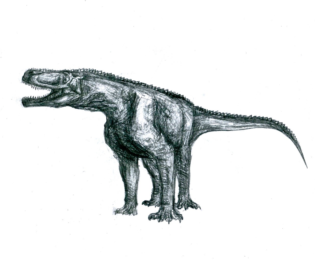 法索拉鳄_360百科