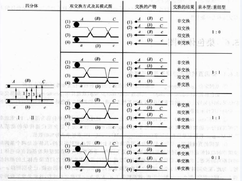 双交换360百科