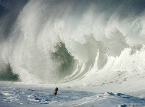 tsunami图册_360百科