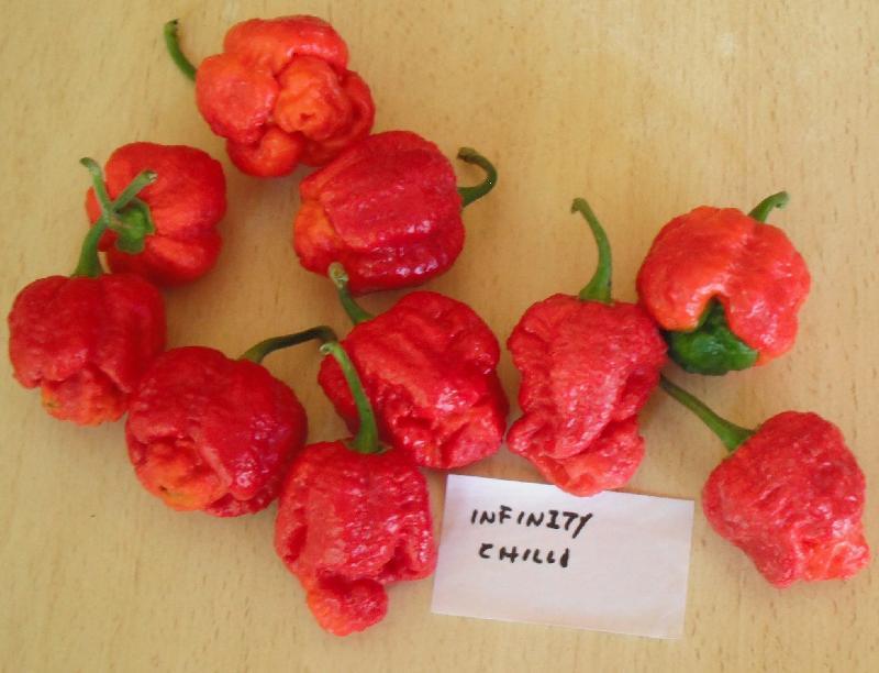 无限辣椒图册_360百科