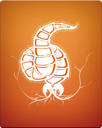 Neurax蠕虫图册_360百科