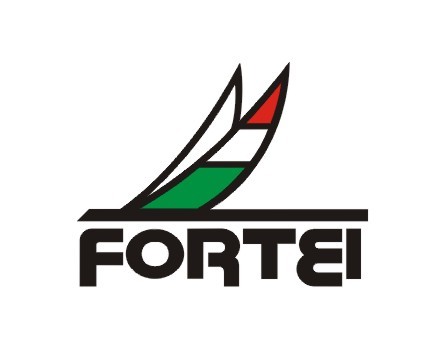 fortei_360百科