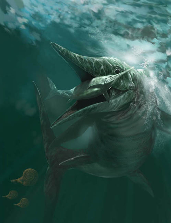 大眼鱼龙_360百科