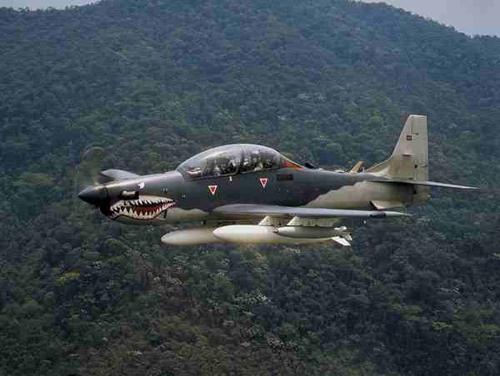 A-29"超级巨嘴鸟"图册_360百科