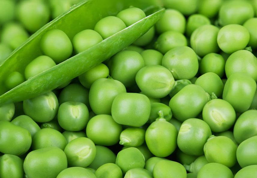 豌豆(豆科植物)_360百科