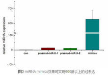 miRNA mimics_360百科