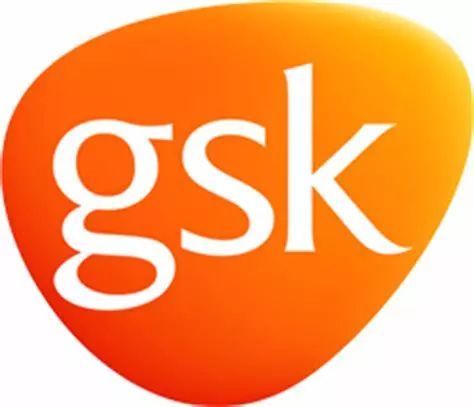 GSK图册_360百科