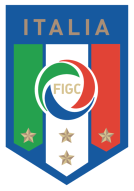 意大利国家男子足球队图册_360百科