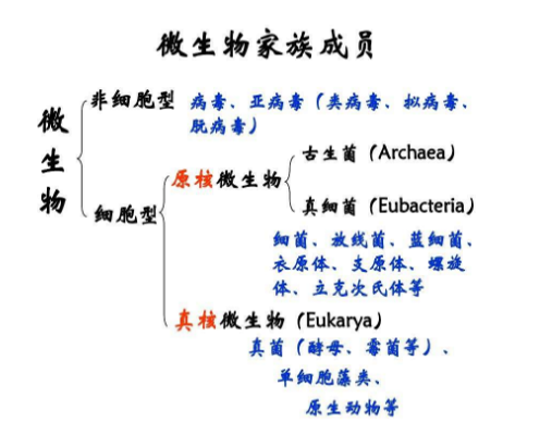 微生物分类图册360百科