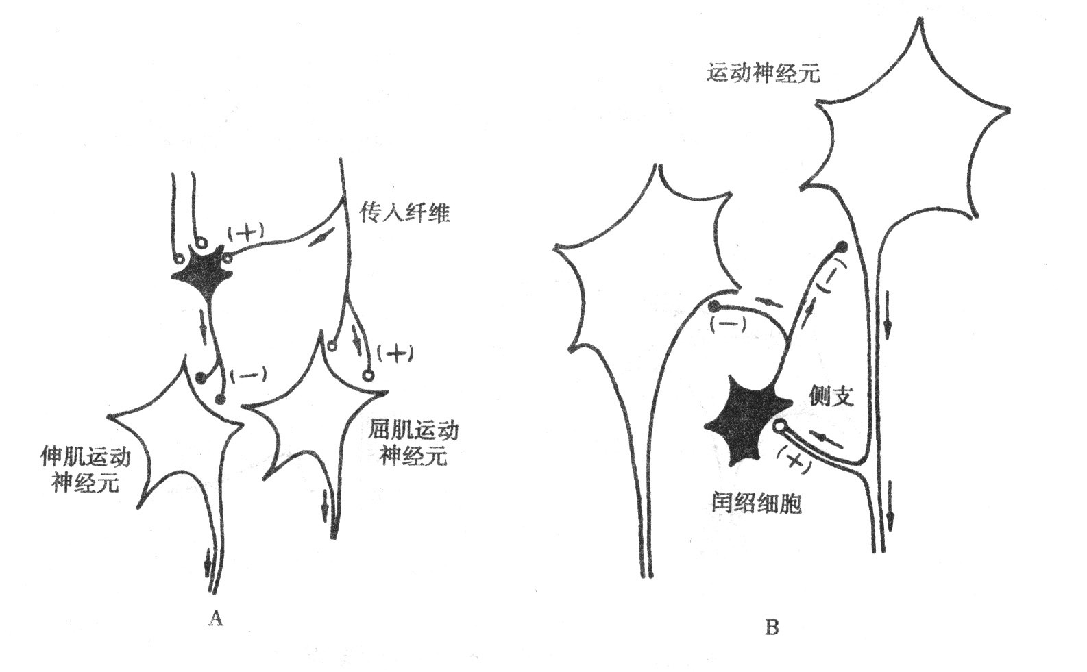 中枢抑制_360百科