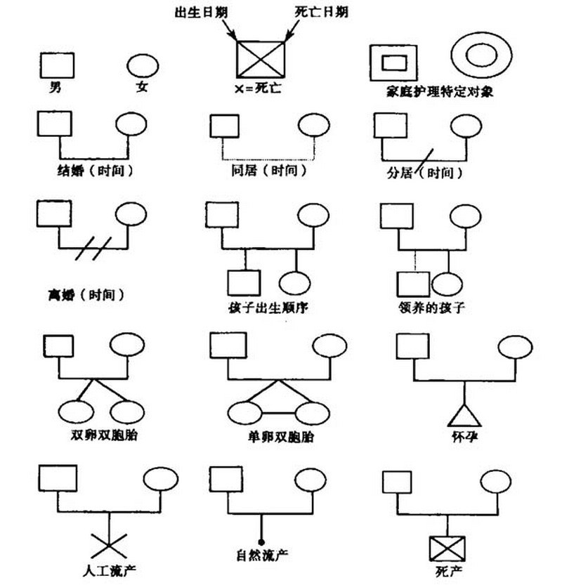 家系图图册360百科